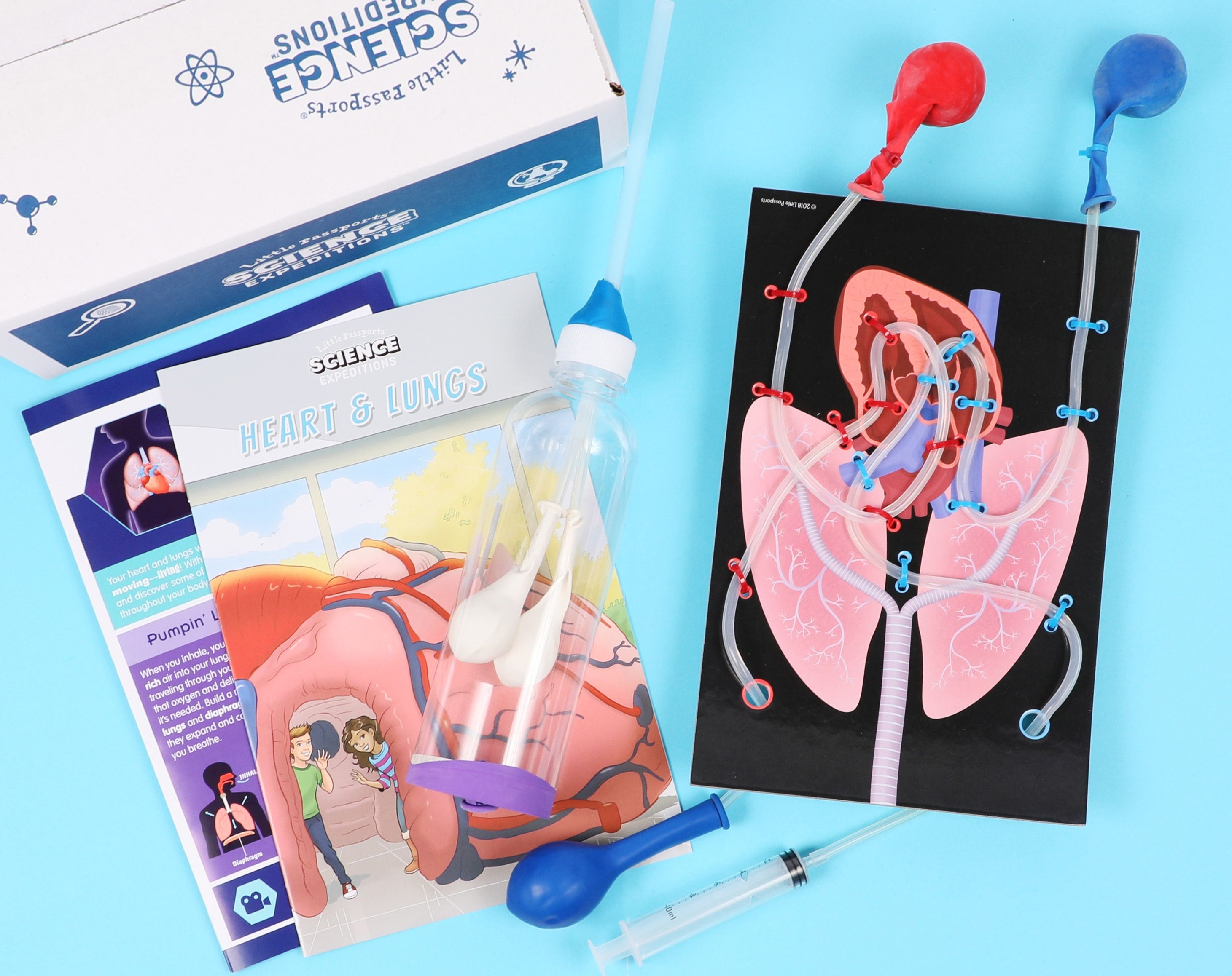 STEM Heart & Lungs Kit - Little Passports