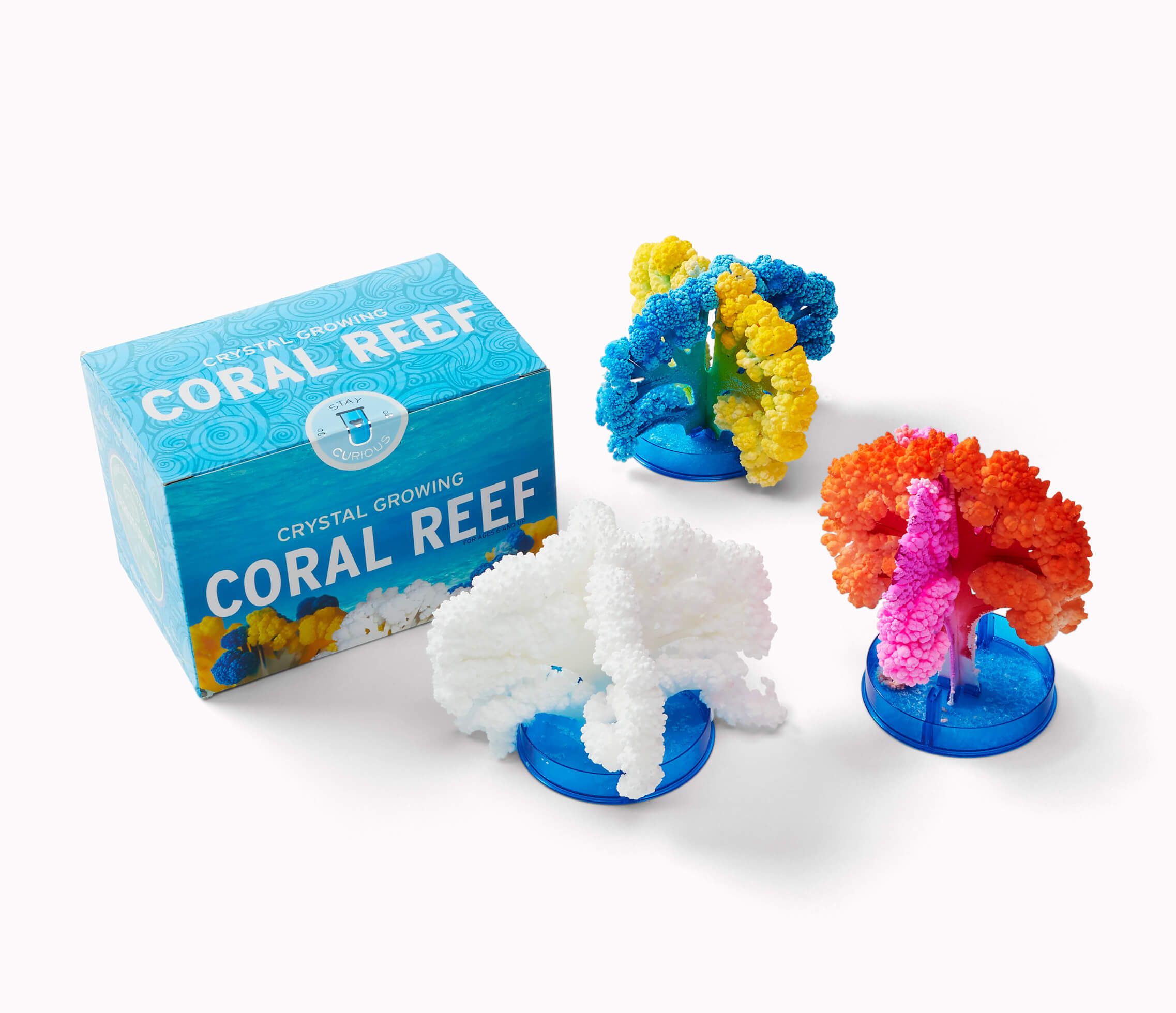 Natural Wonders Pack: Volcano & Coral Reef | Little Passports