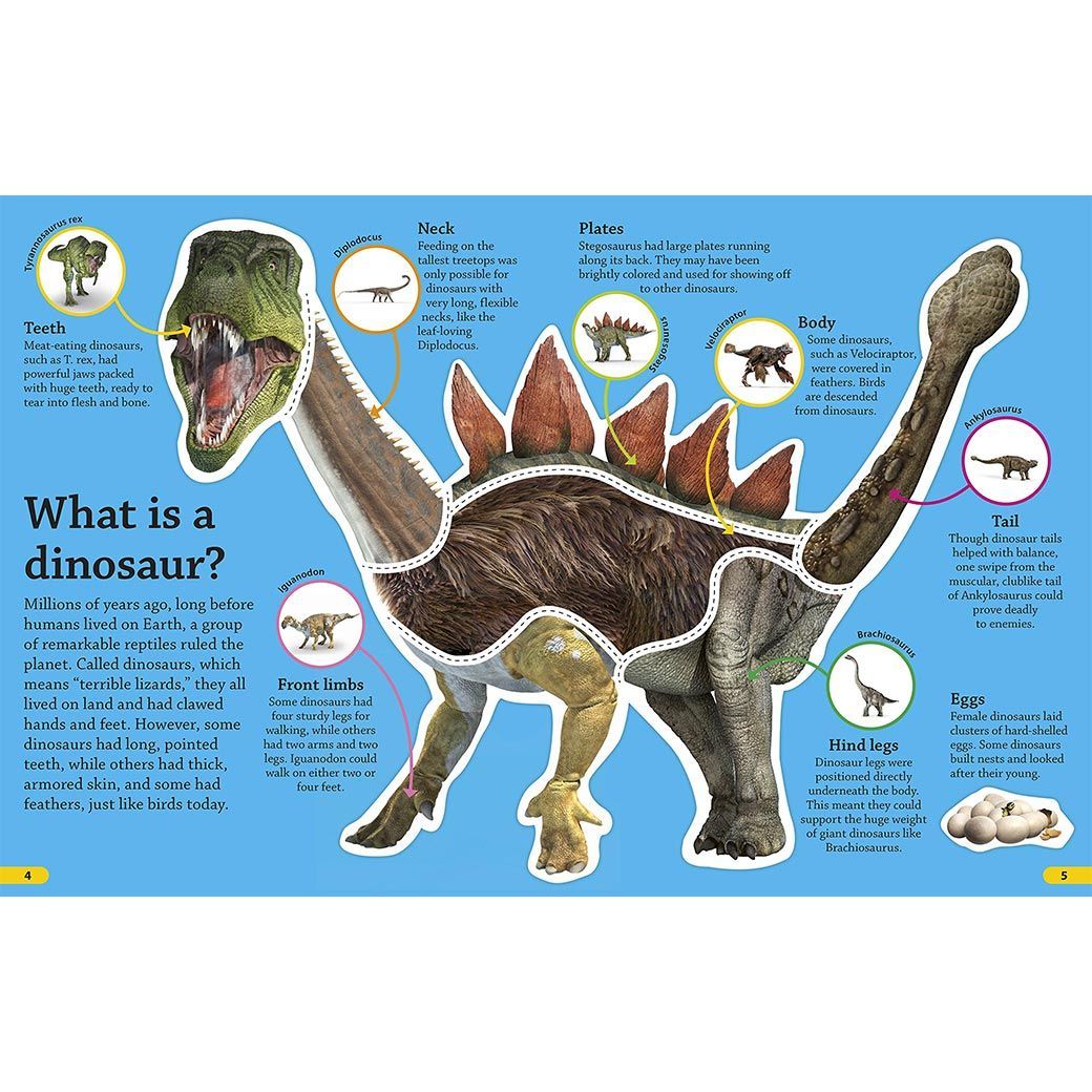 DKfindout! Dinosaurs - Little Passports