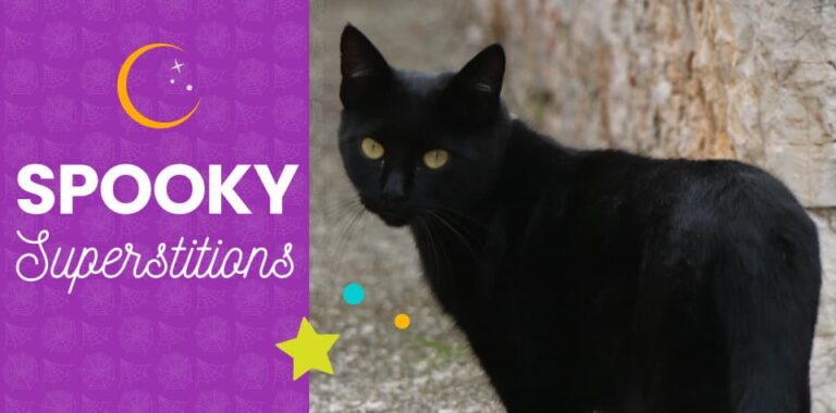 15 Spooky Superstitions to Put You in the Halloween Spirit! - Little ...