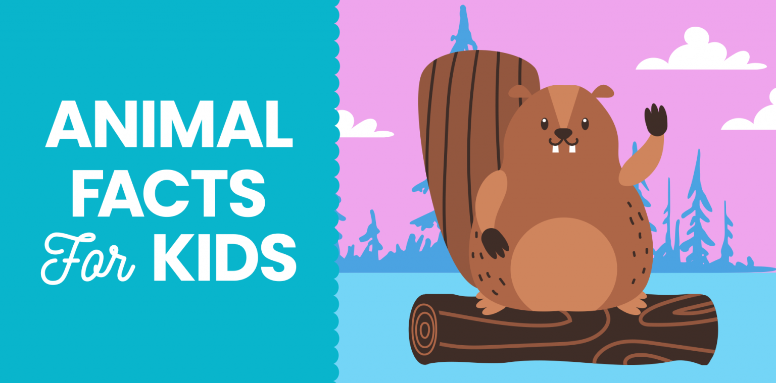 Animal Facts for Kids - Little Passports