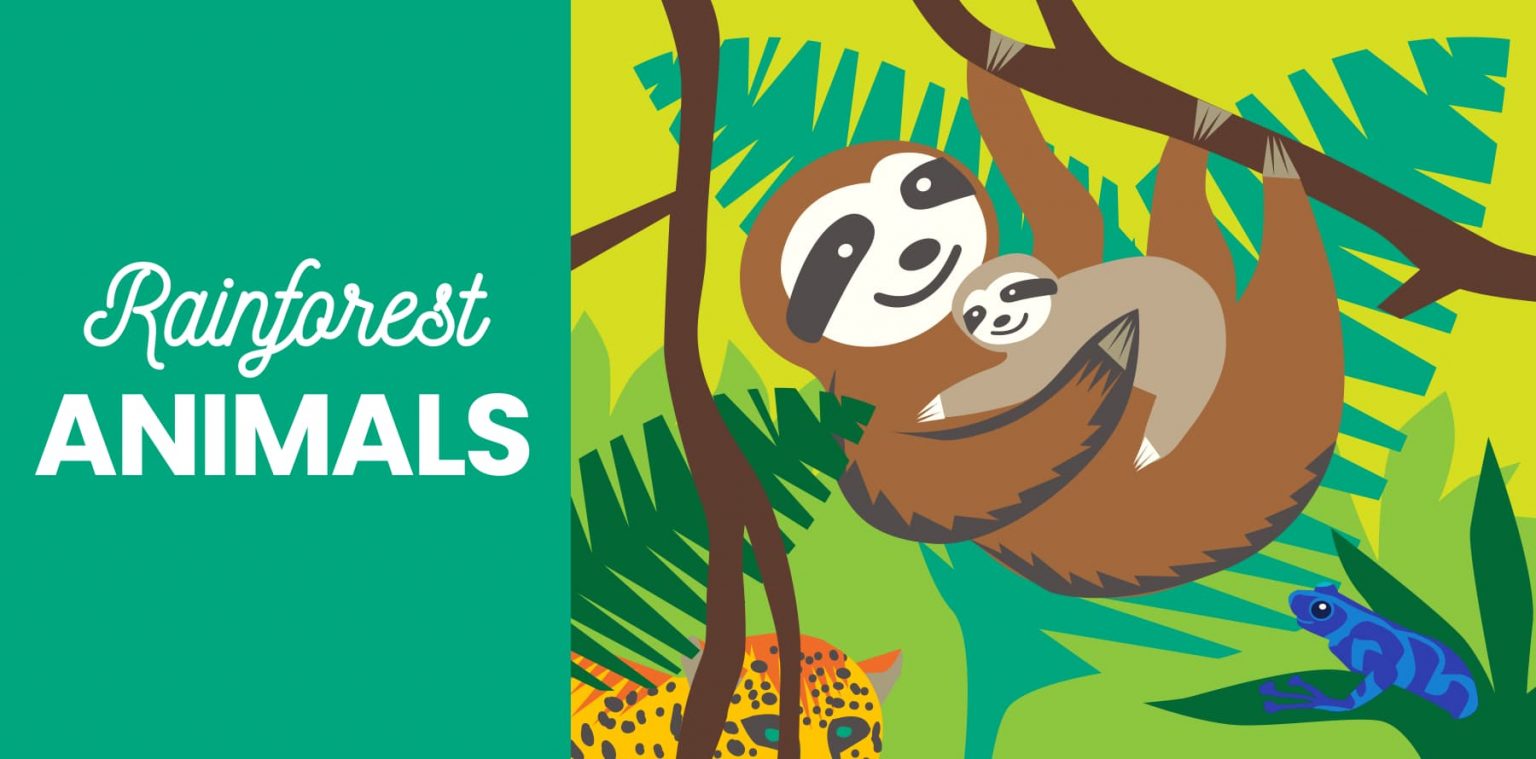 40 Rainforest Animals - Birds, Mammals, and More from Little Passports