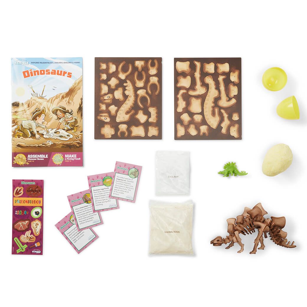 CREATE + PLAY: Dino Explorer - Little Passports