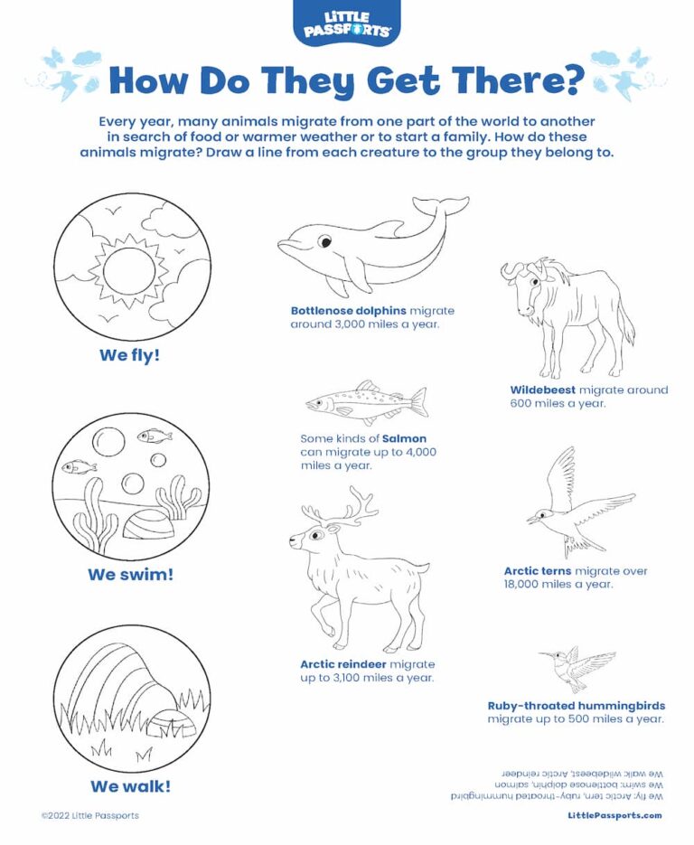 Animals Wild Migration Activities - Little Passports