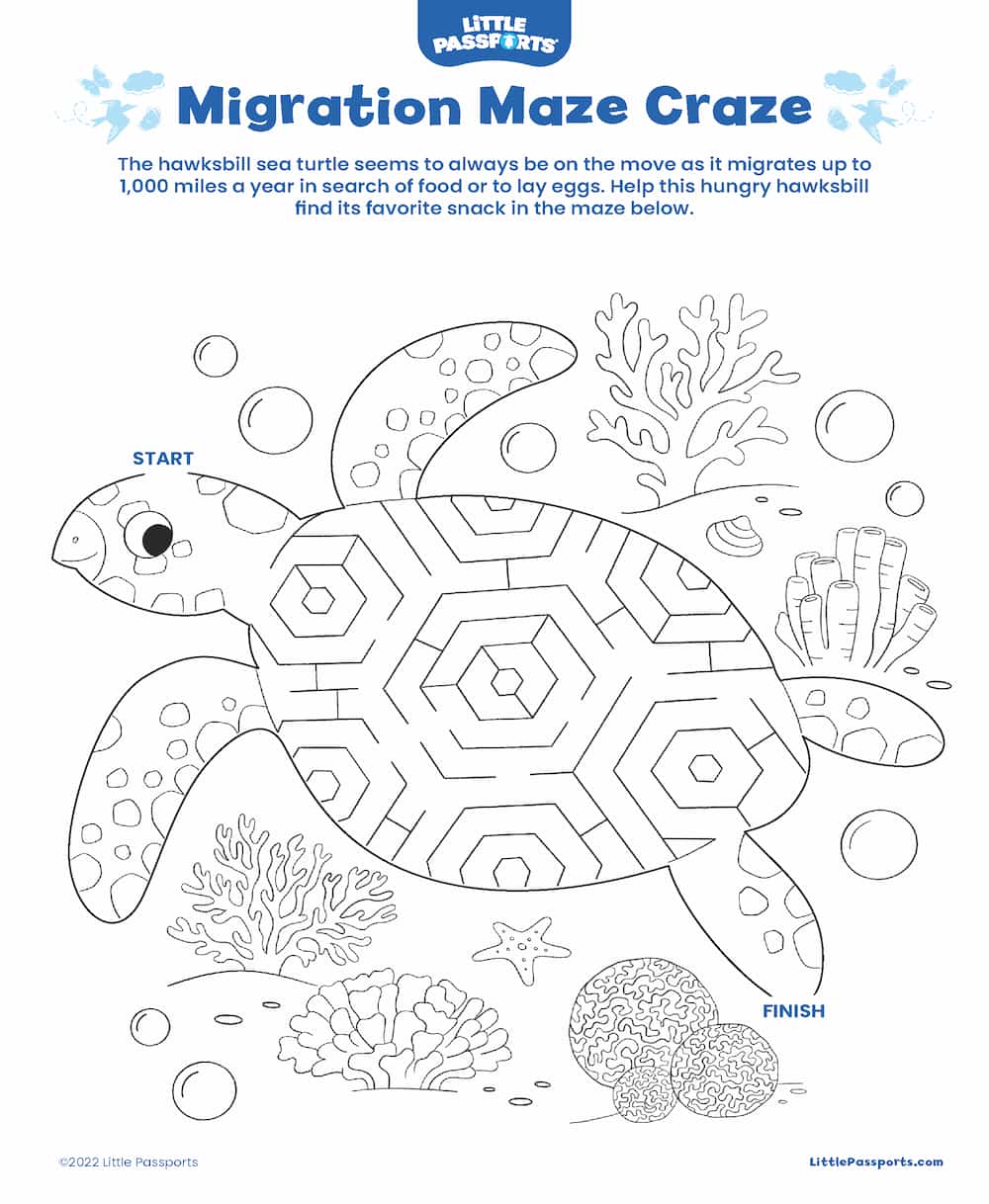 Animals Wild Migration Activities - Little Passports