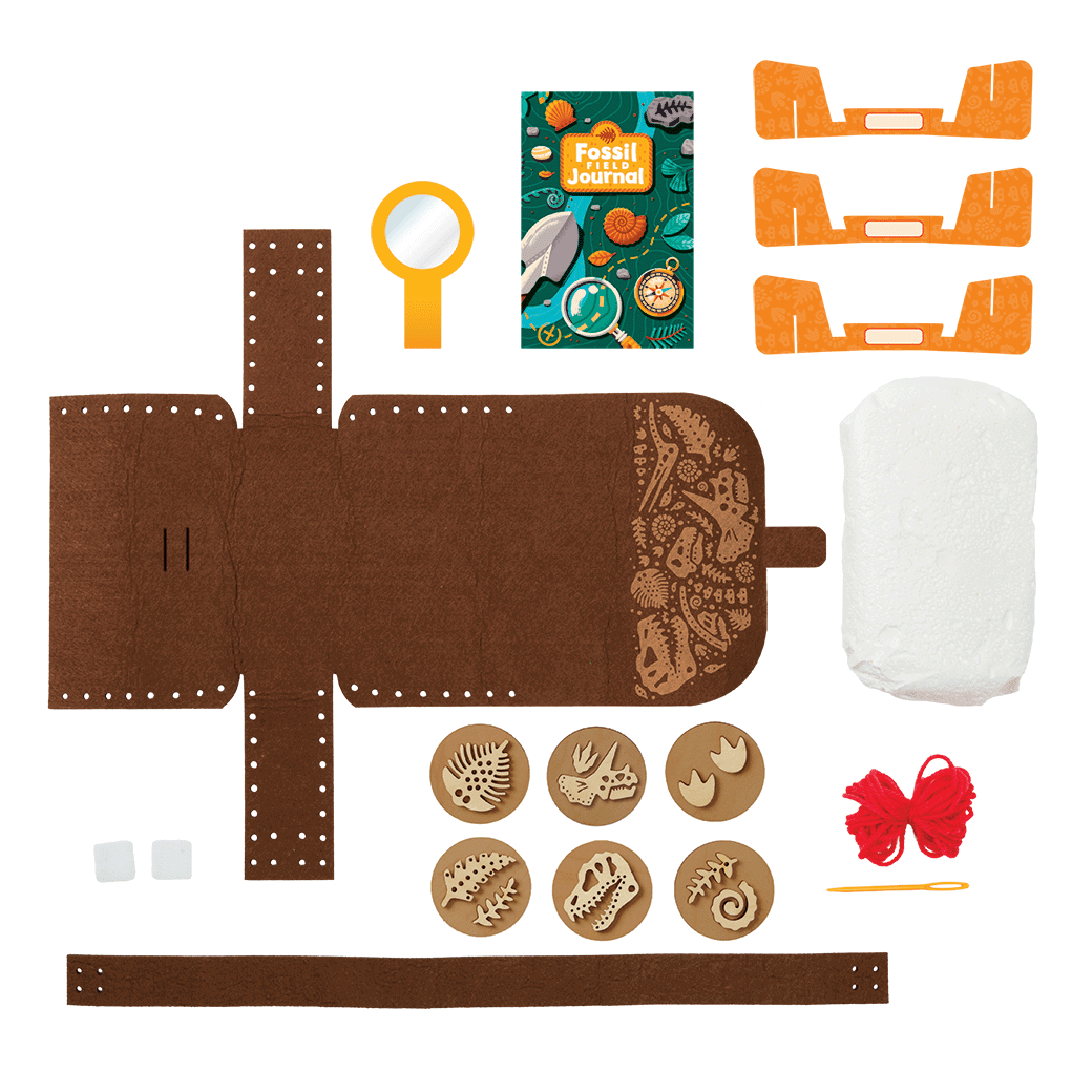 Fossil Maker - Little Passports