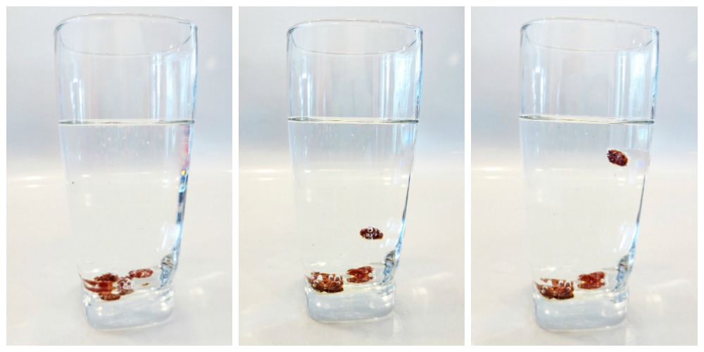 Dancing Raisins - Little Passports