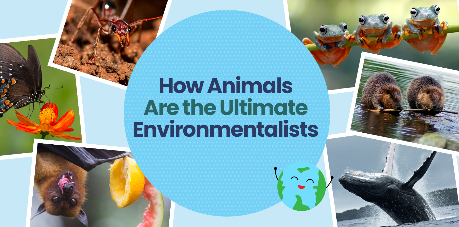 How Animals are the Ultimate Environmentalists - Little Passports