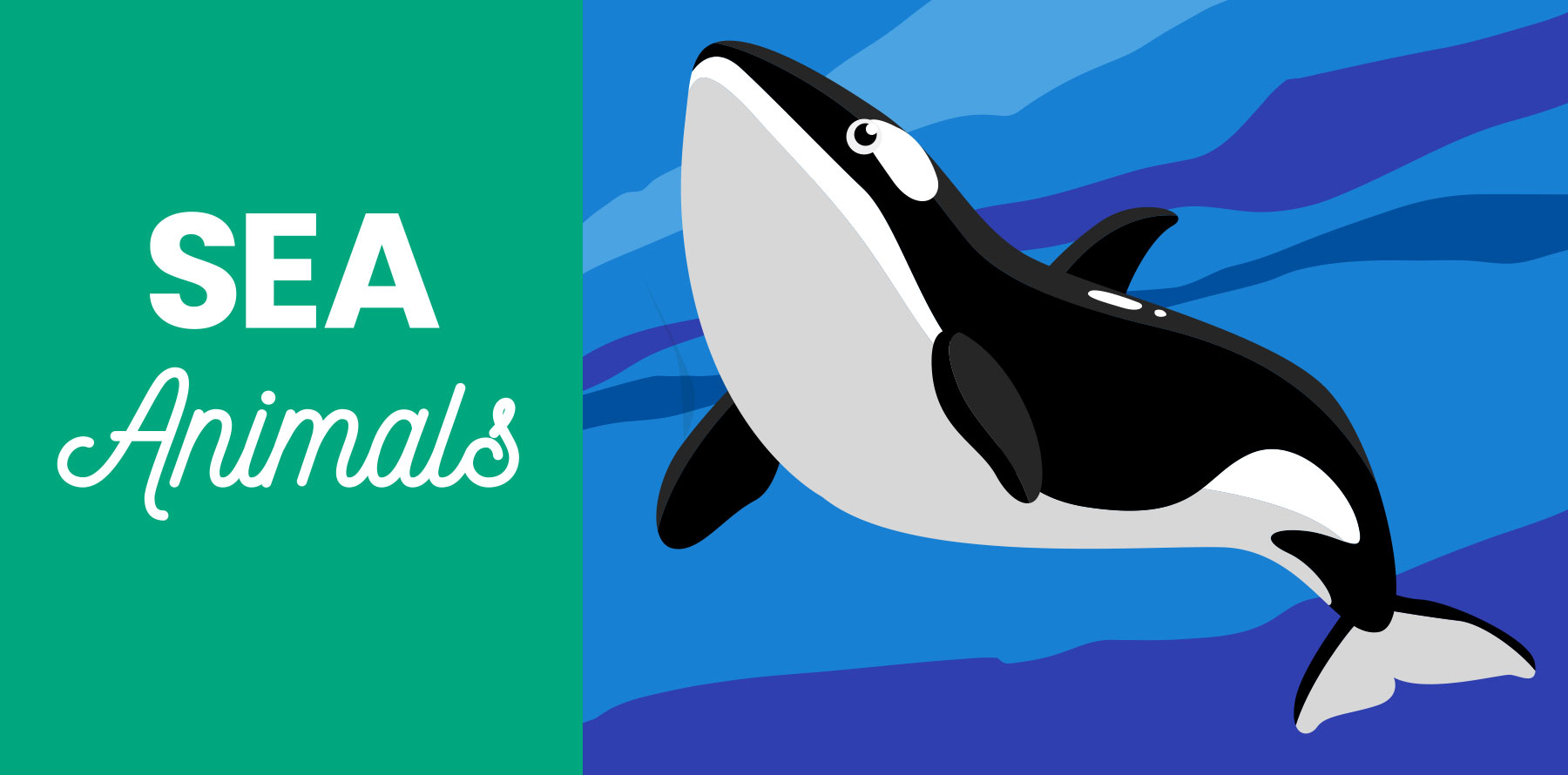 6 Incredible Sea Animals - Orcas, Blue Whales, and More from Little ...